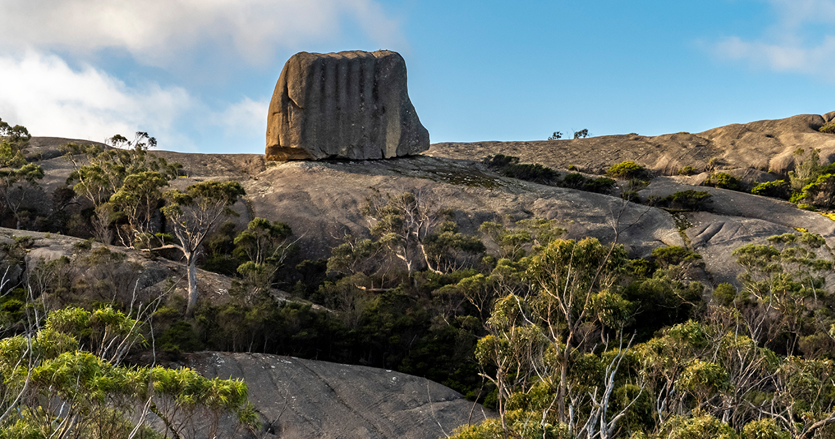 Walk into the Lair of the Thylacene | Tin Dragon Cottages | Cube Rock