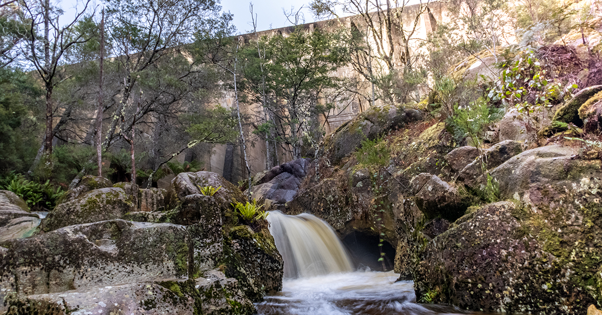 Mt Paris Dam, Tasmania - Tin Dragon Cottages & Tailrace Sauna